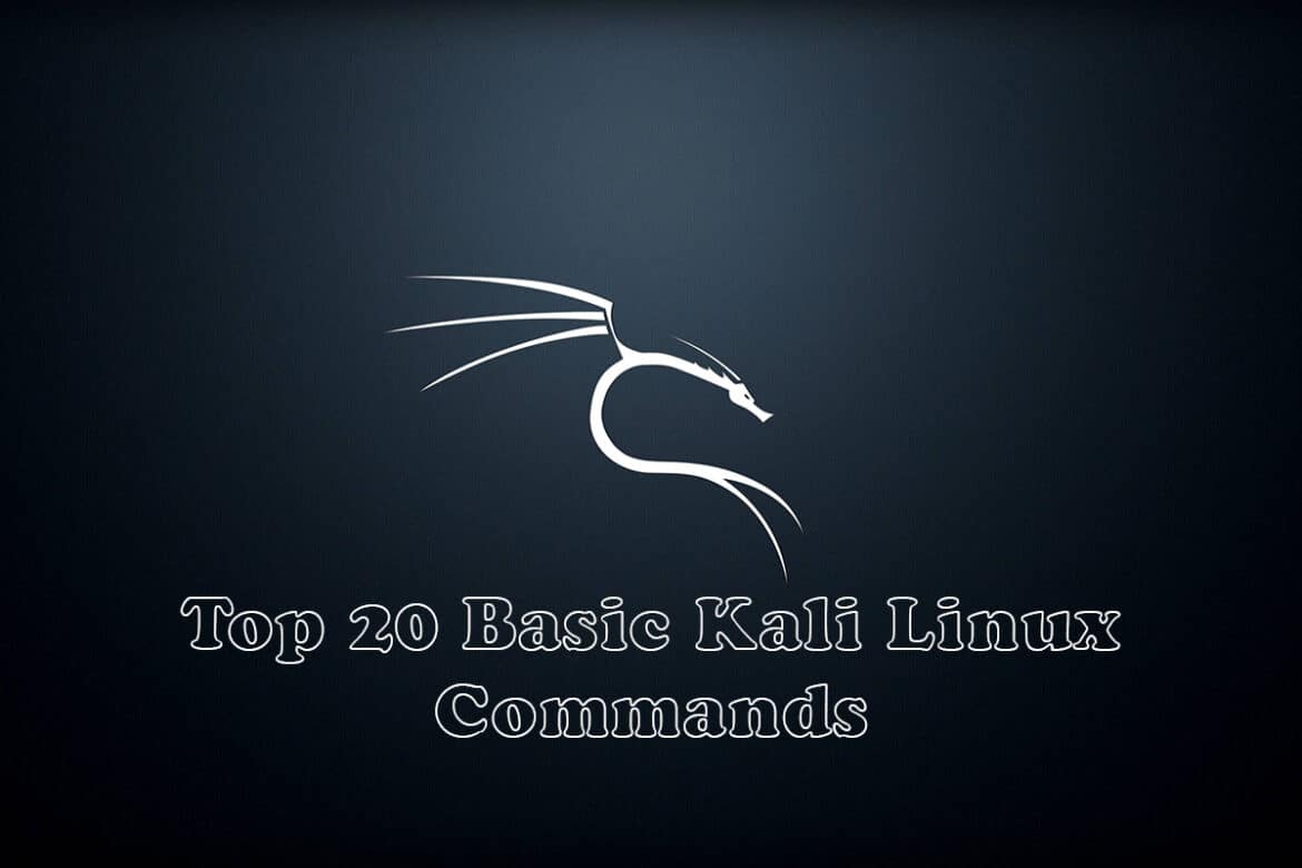 Top-20-Basic-Kali-Linux-Commands | TECH DHEE Top-20-Basic-Kali-Linux-Commands | TECH DHEE